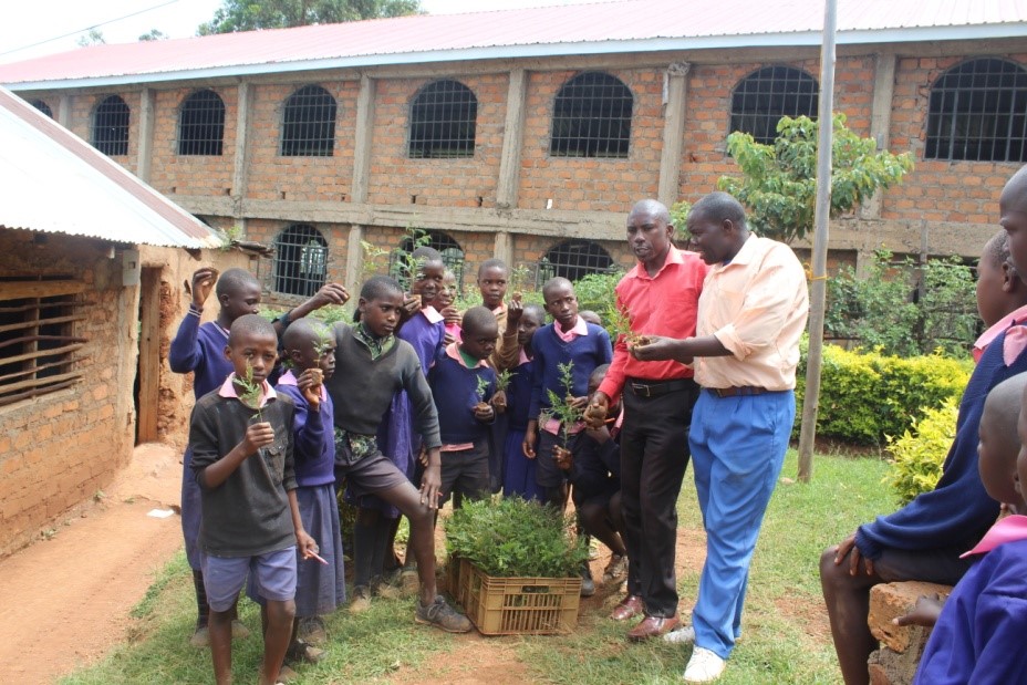 Receiving of the seedlings at Nyankoba community primary school – NGCDF ...